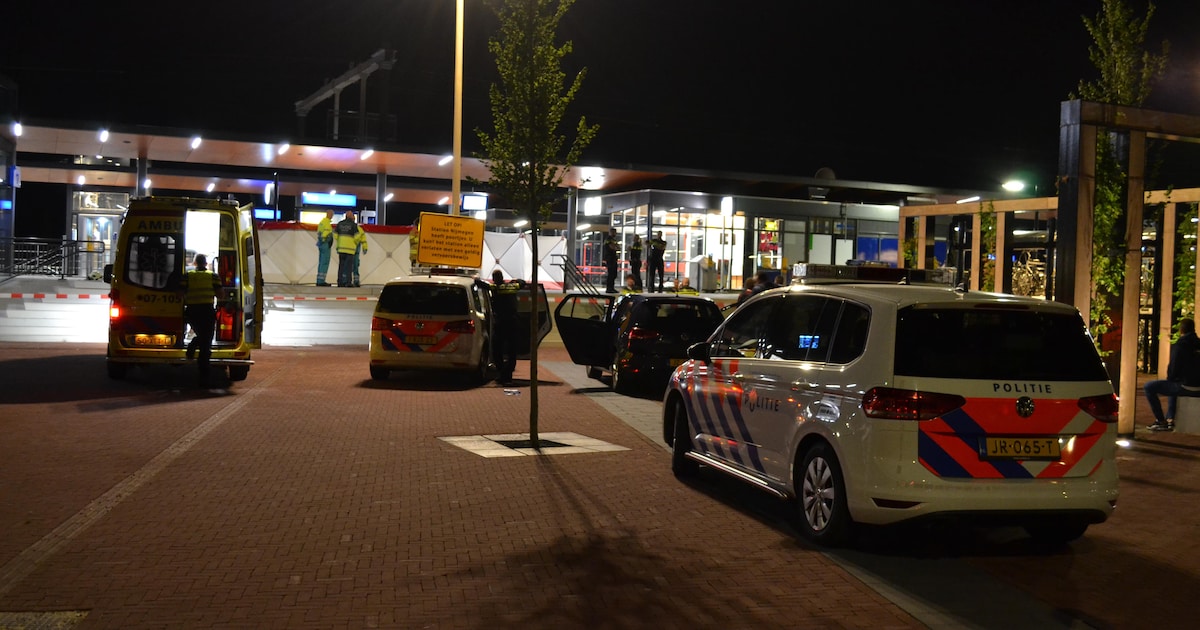 Twee jongens (17) overleden door aanrijding met trein op station Elst ...