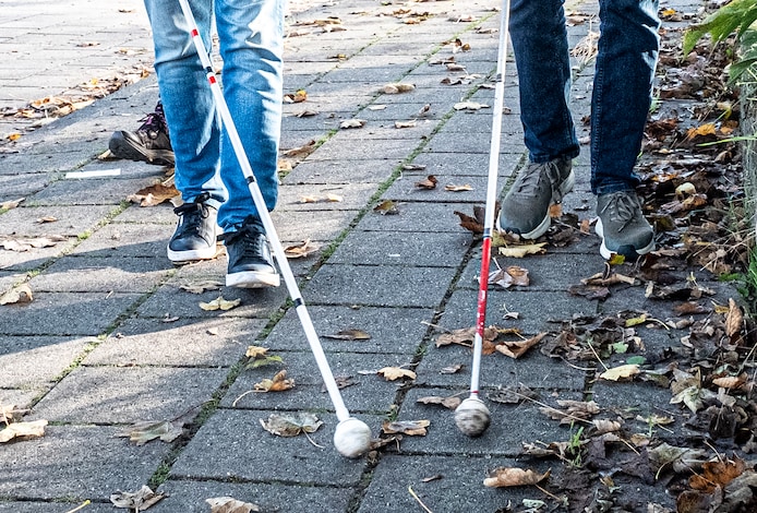 Zelfs onder ideale omstandigheden is blind oversteken spannend, en toen ...