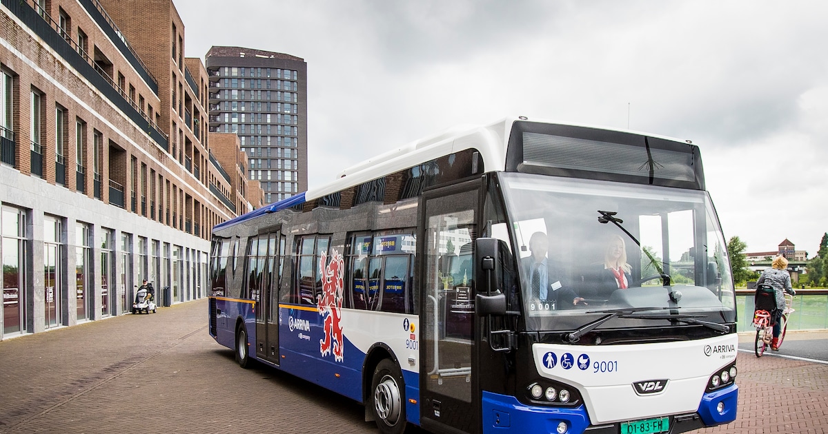 Definitief geen gratis bus voor Mookse minima en kinderen: ‘Eén Limburg ...