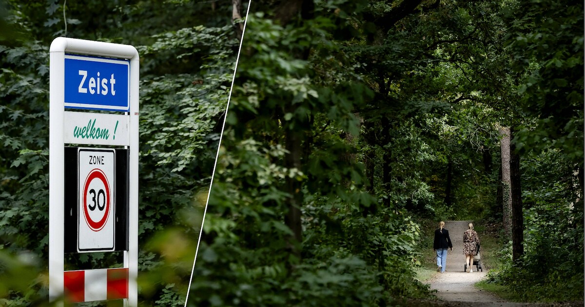Ernstig seksueel geweld leidt tot zorgen in Zeist: zo wapen je je tegen ...