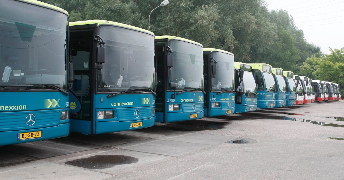 Van samen met de bus naar alleen met het vliegtuig | Columns Vanessa ...