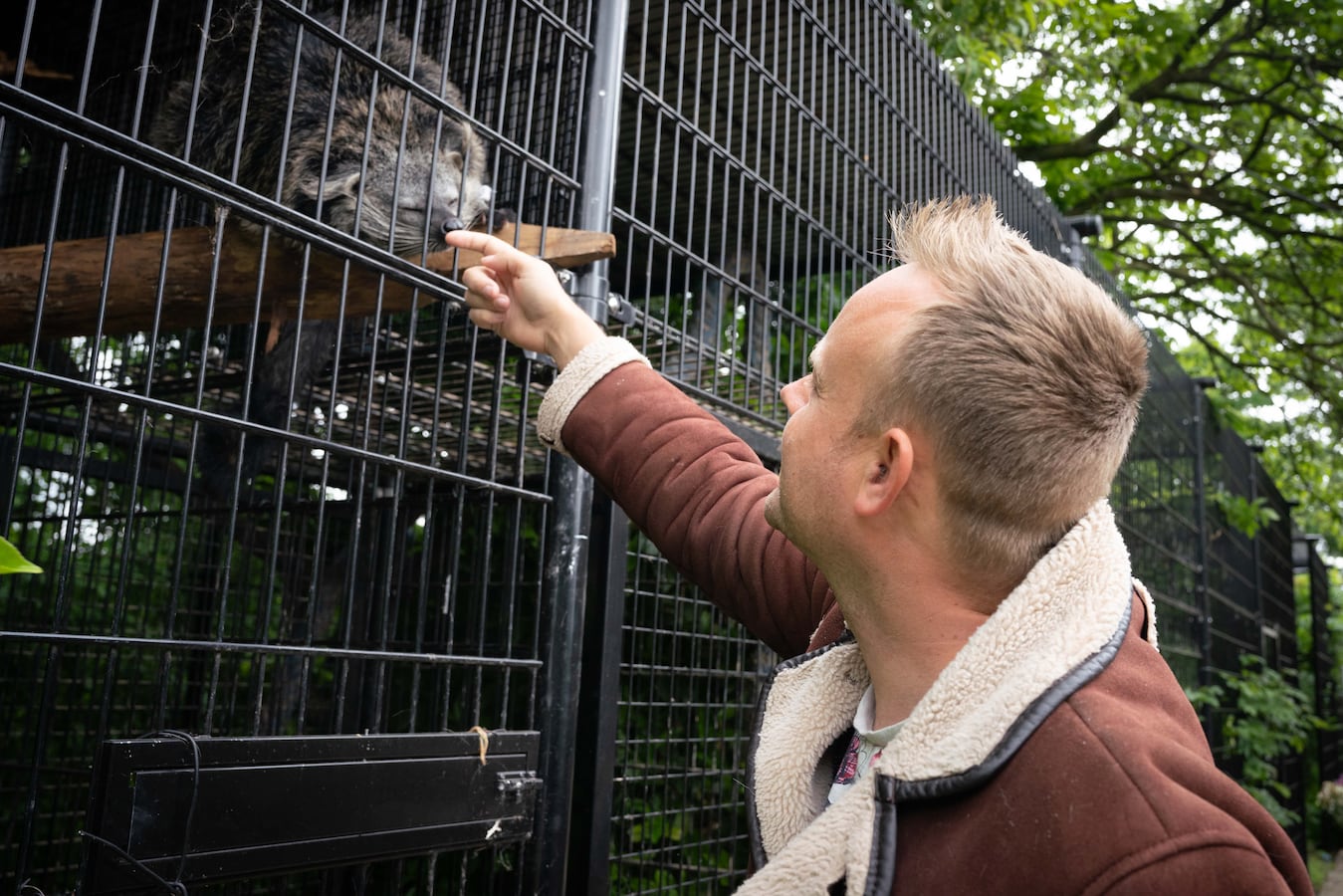 ‘Kuifje’ in het vizier van politie en NVWA, maar hij is niet onder de ...