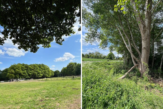 Opeens staan er veel bossen en weilanden te koop in de Achterhoek en Liemers: waarom en wat kan ...