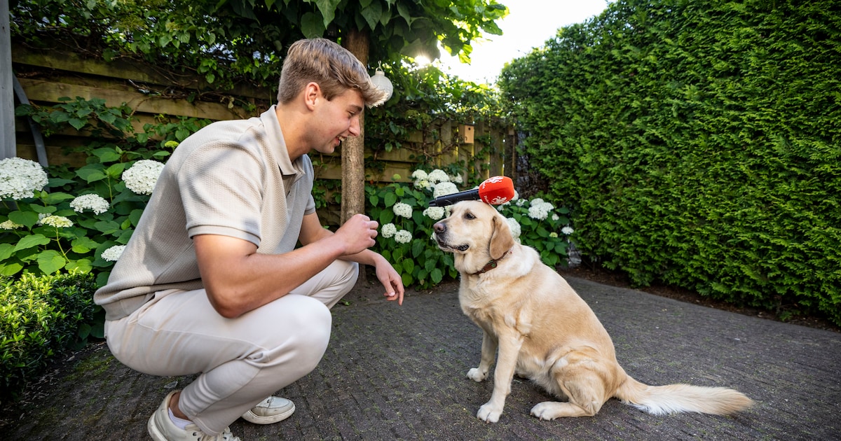 Is Fiep (6) een hond of een tafel? Baasje Stijn is er nog steeds niet ...