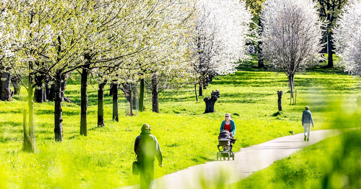Na zon komt grillig aprilweer: ‘Koud voor de tijd van het jaar’ | Binnenland | gelderlander.nl
