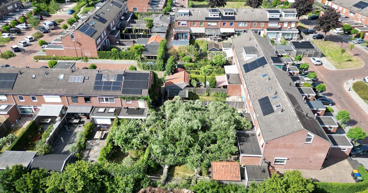 Drie verwoeste tuinen en bomen die leunen tegen huizen: dit zijn de ...