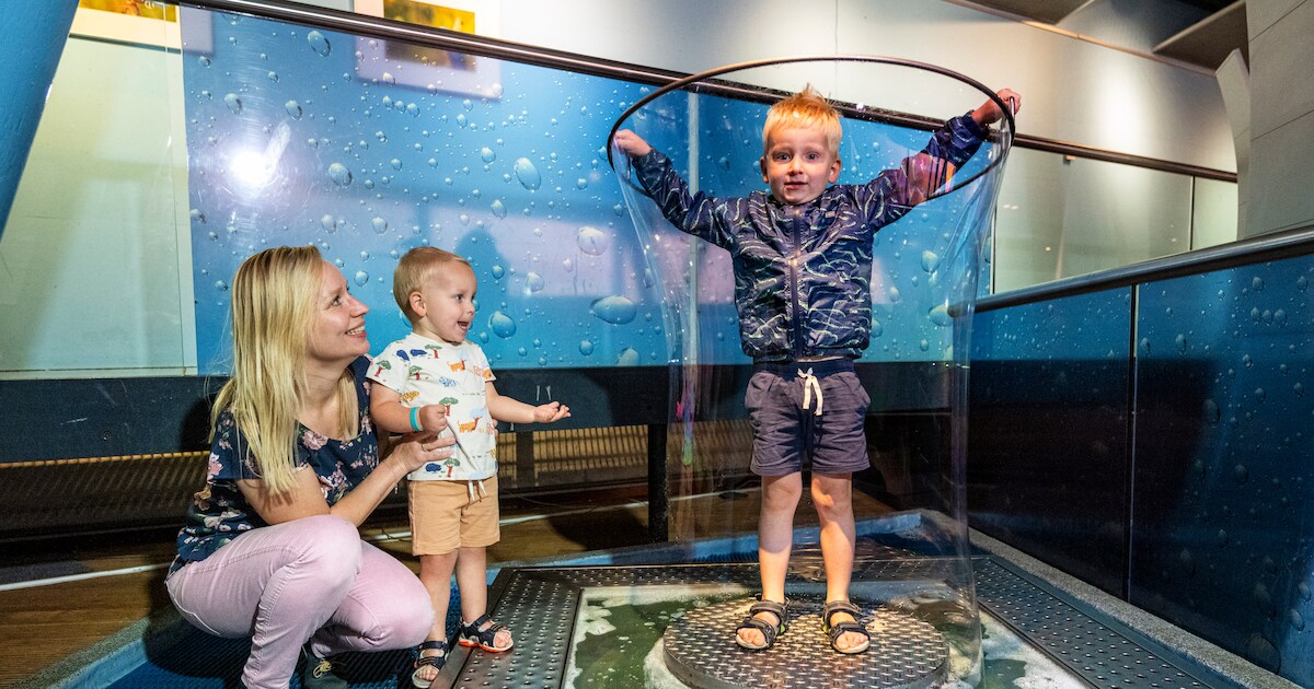 Watermuseum in nopjes met zomer vol water, ook andere musea blij met ...