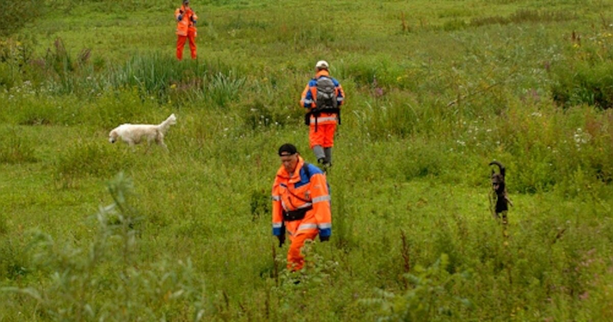 Lichaam vermiste Henk Peters uit Doorwerth nog niet gevonden | Arnhem ...