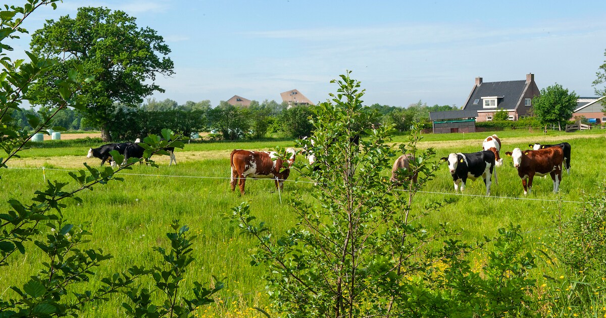 Klimaatweek moet Achterhoek warm maken voor maatregelen | Aalten | De ...