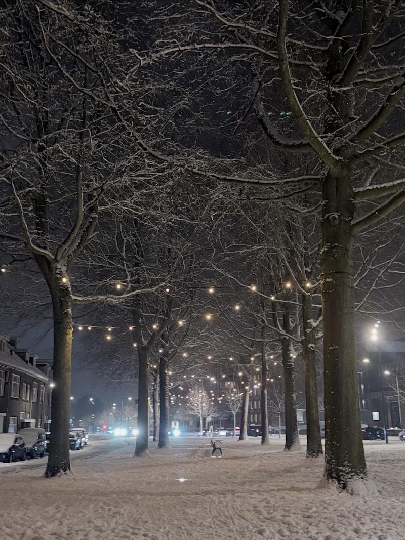 LIVE Sneeuw in Brabant | Woensdag code oranje in Brabant, verschillende ...
