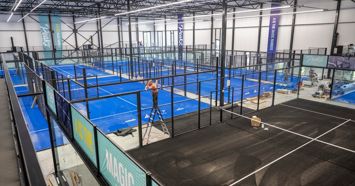 Een van de grootste hallen voor padel opent in Nijmegen: ‘Hier is geen ...