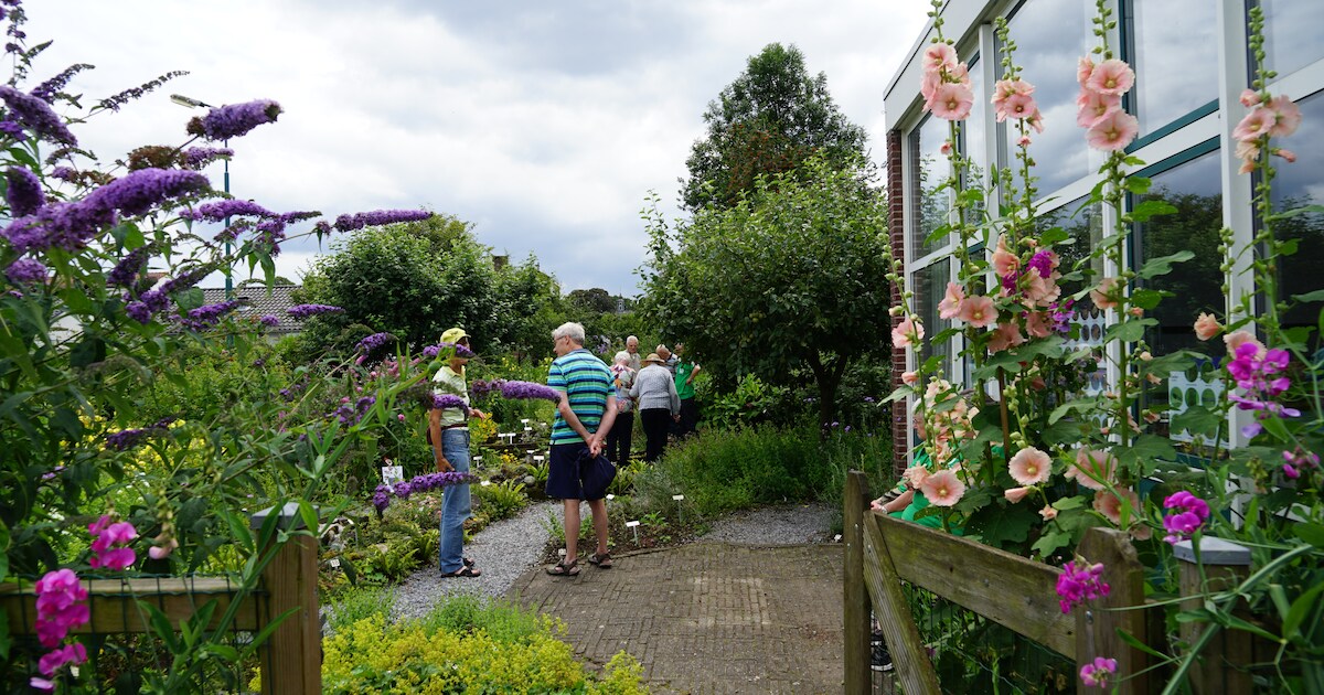 Open dag in vlindertuin Eindhoven | Eindhoven | gelderlander.nl