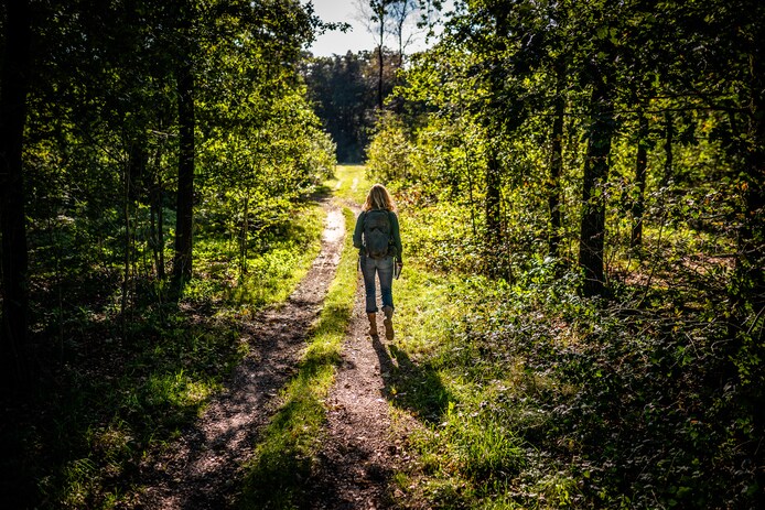 Vegan cake en een lijkwade van linnen: hoe neem je zo milieuvriendelijk ...