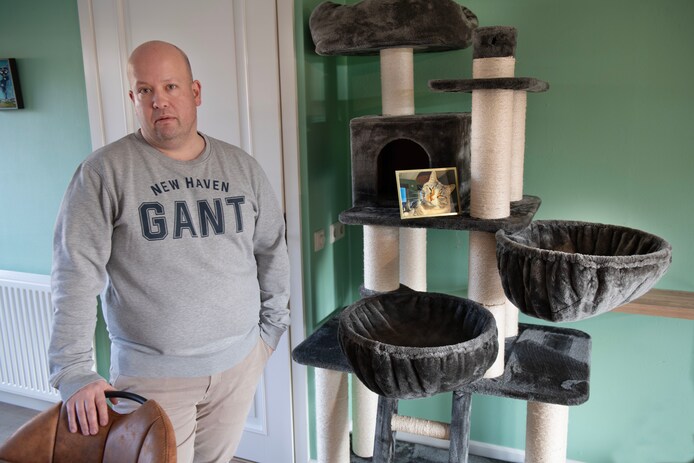 Katten Odin en James plots overleden onder verdachte omstandigheden: is ...