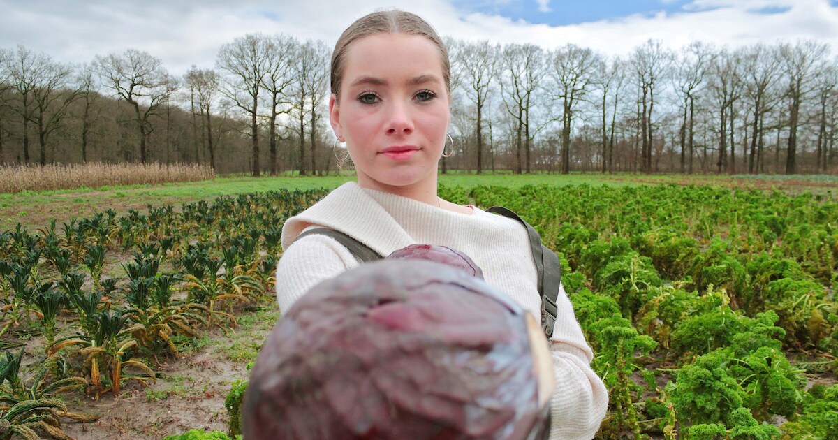 Toekomstige bio-telers kunnen deze nieuwe opleiding volgen bij Aeres in ...
