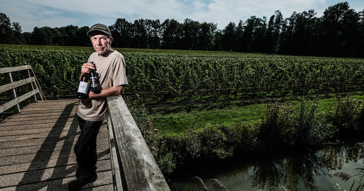 Open dagen bij elf Gelderse wijnboeren, check hier welke wijngaard in ...