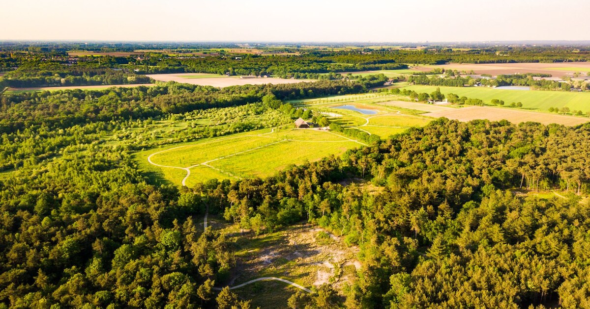 Informatiedag natuurbegraafplaats Maashorst | Home | De Gelderlander.nl