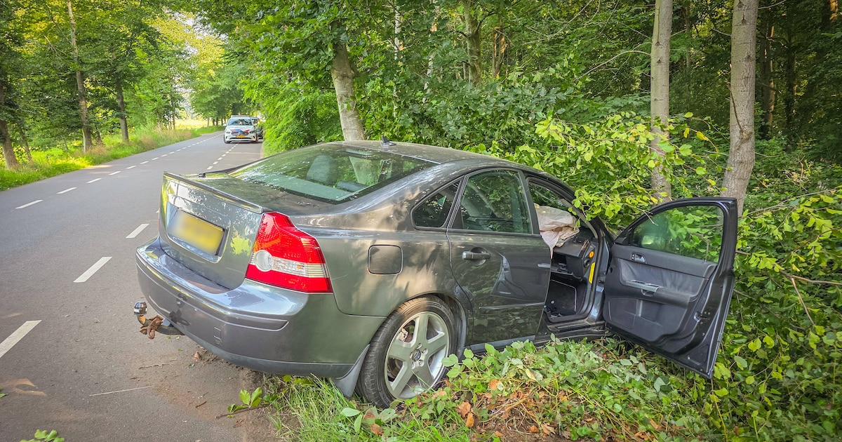 Auto knalt tegen boom langs Beukenlaan in Baak | Regio | De Gelderlander.nl