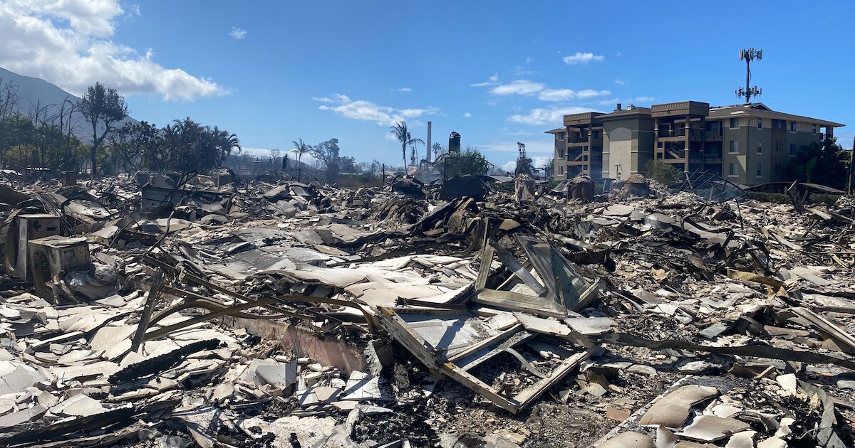 Dodental Maui opgelopen tot 89, OM kondigt onderzoek aan wegens ‘niet ...