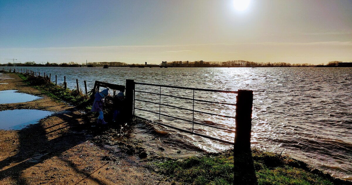 Drukte op de dijk bij Ochten die in 1995 bijna bezweek: ‘Als het water ...
