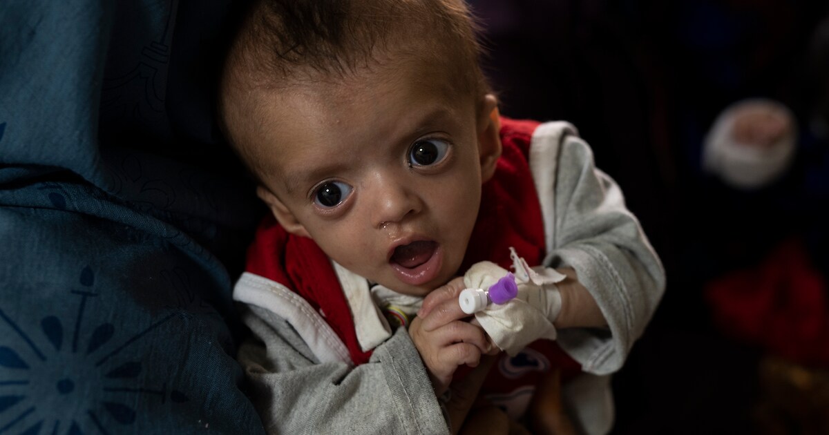 Wanhoop om ‘hongertsunami’ Afghanistan: ‘Ouders verkopen hun kind om ...