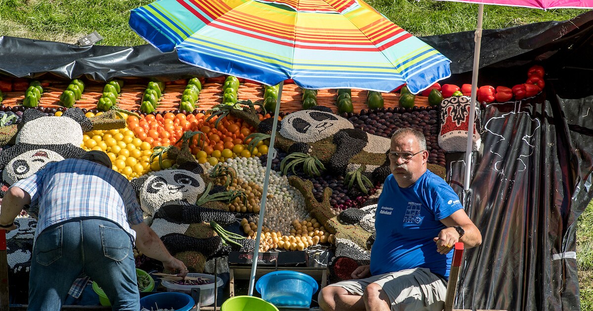 Het is corsomaand, dus parasol uitklappen en leggen maar: zon houdt ...
