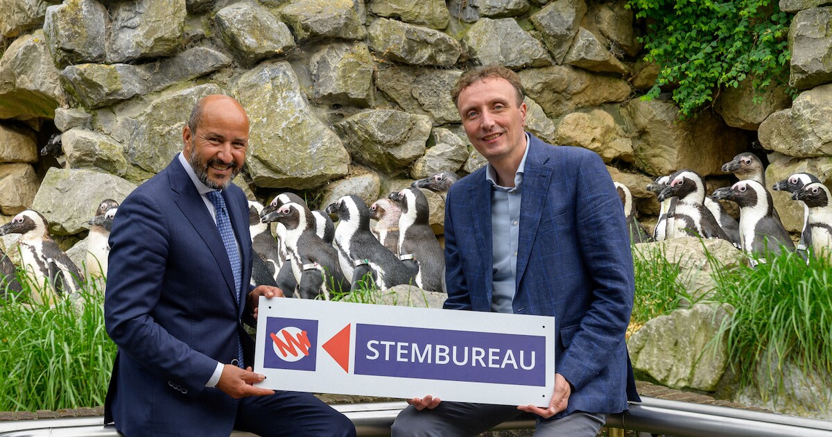 Marcouch houdt ‘mars voor de democratie’ naar stembureau tussen de ...