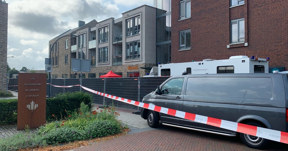 Vrouw gewond na steekincident; verdachte (71) dood aangetroffen op straat in Wierden ...