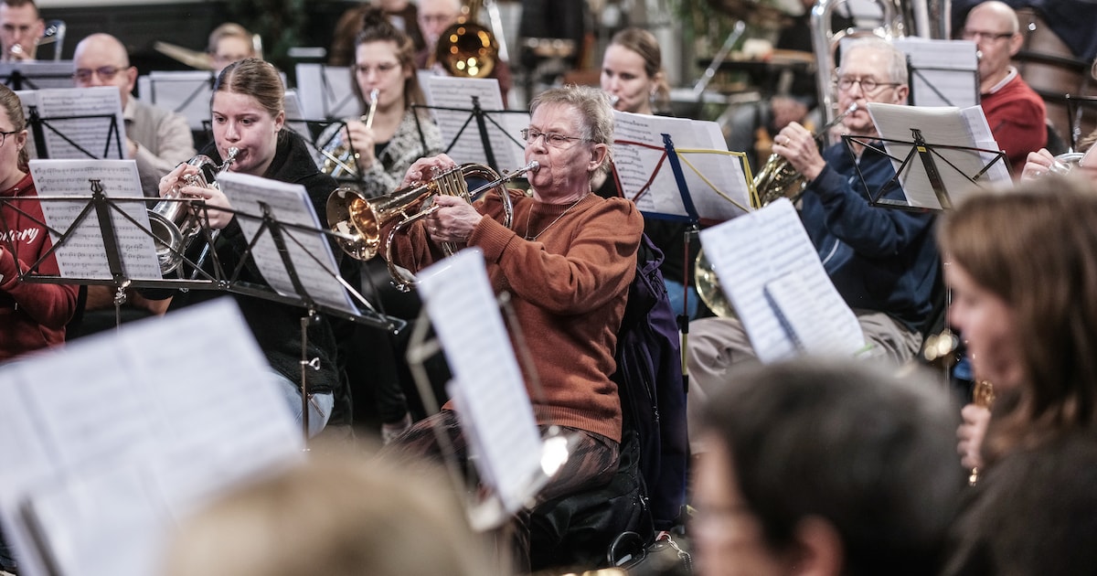 Ze hebben al jaren geen instrument aangeraakt, maar oud-leden DES doen ...
