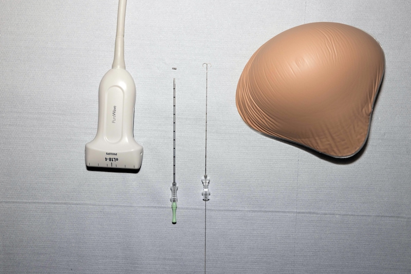 Nieuwe techniek in Bernhoven: zaadje van een paar millimeter leidt ...