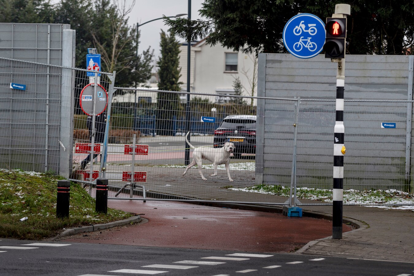 Afsluiting Halsterseweg leidt tot bizarre situaties: ‘Mensen lopen door ...