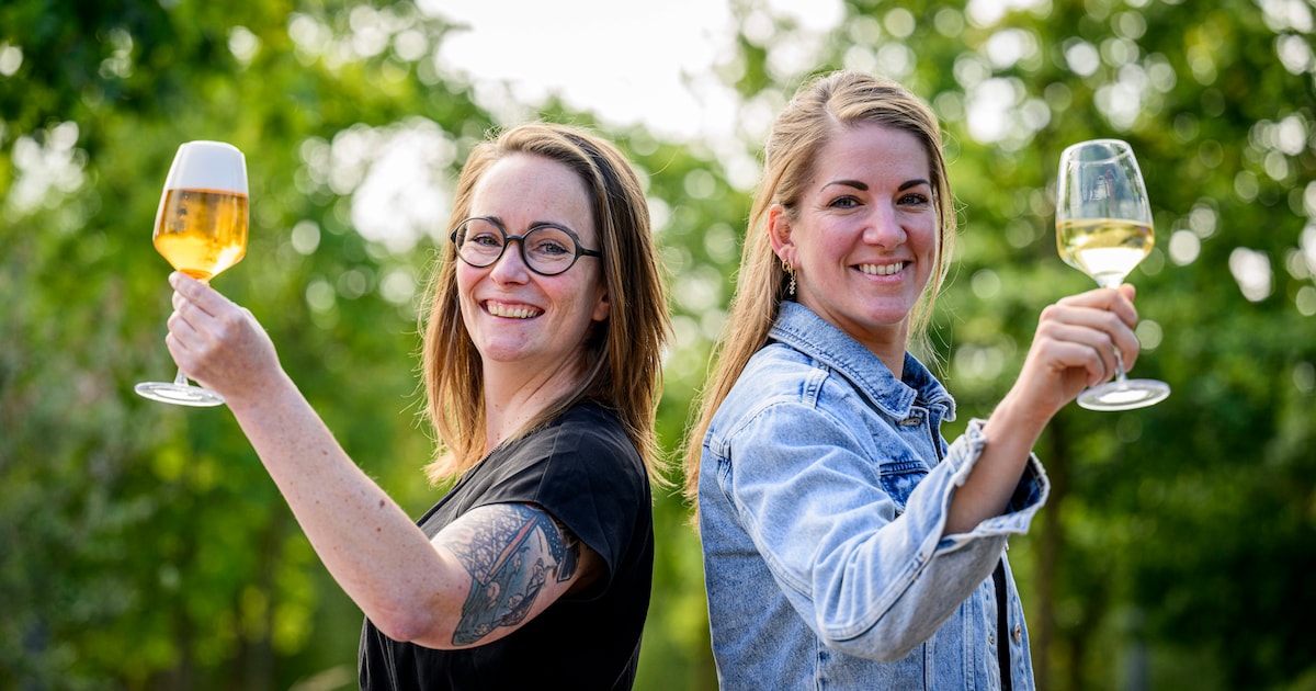 Sanne Kuipers over de trappisten: ‘Bier als vloeibaar brood’ | Regio ...