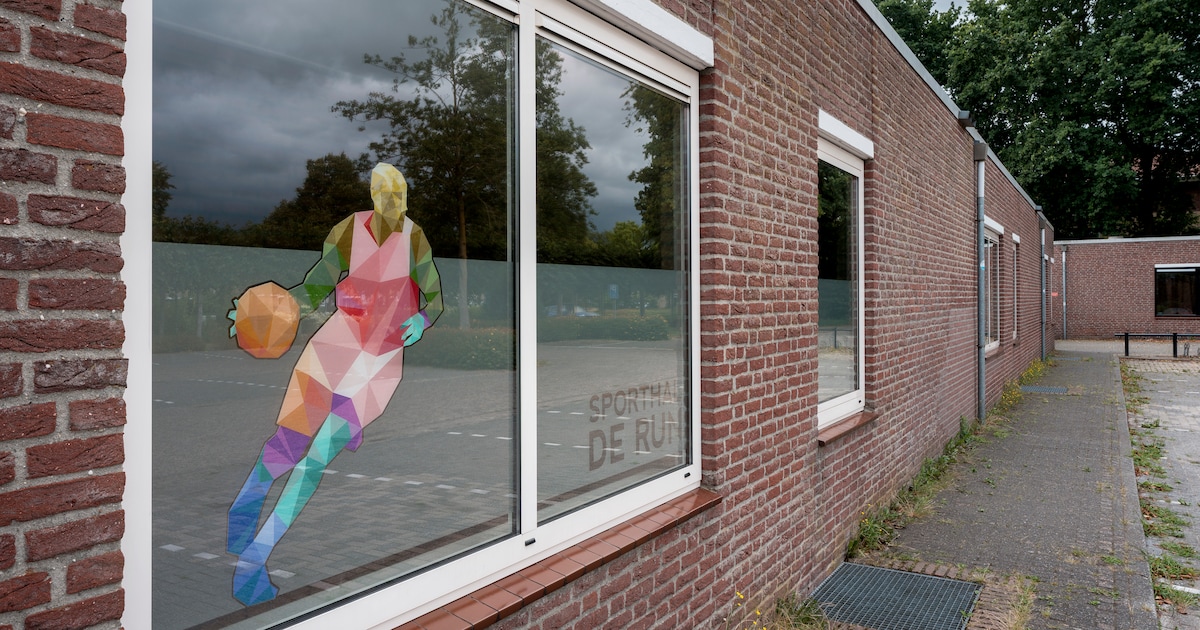 Zorgen bij sportclubs: wie neemt het beheer van sporthallen over nu WSD ermee stopt? | Brabant ...