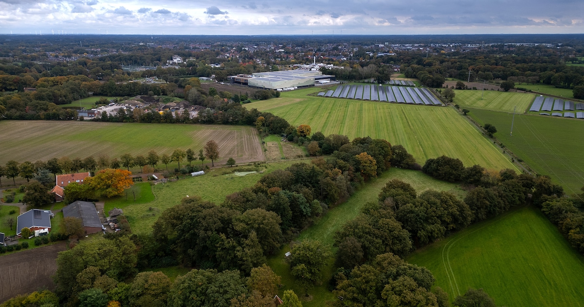 Winterswijk koopt meer grond dan nodig is voor groen en lokaal ...