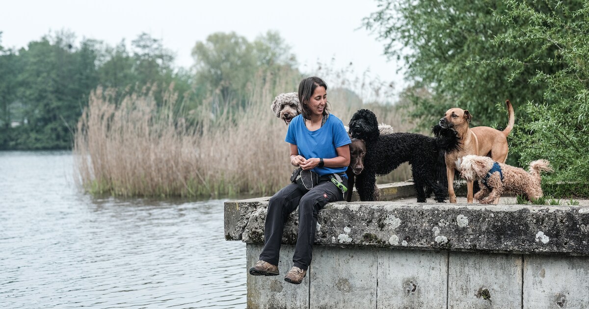 Dit zeggen betrokkenen over de stevige ambities voor de Nevelhorst in ...