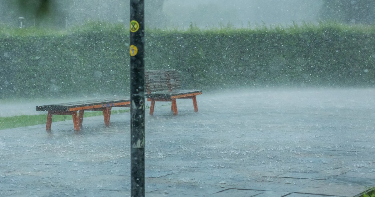 Als vrienden problemen hebben, bellen ze Timo, die diegene dan ...