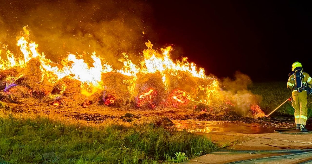 Brandweer is urenlang bezig met blussen van hooibranden in Herveld ...