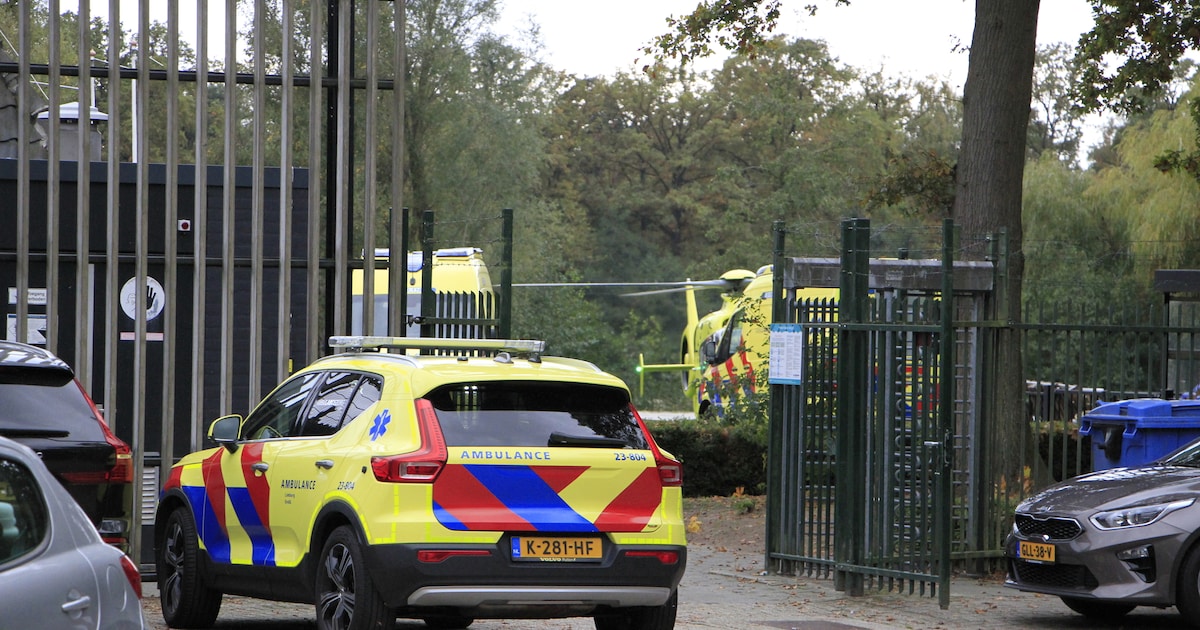Kind per traumahelikopter naar ziekenhuis na ongeval in zwembad in Weert | Binnenland | De ...