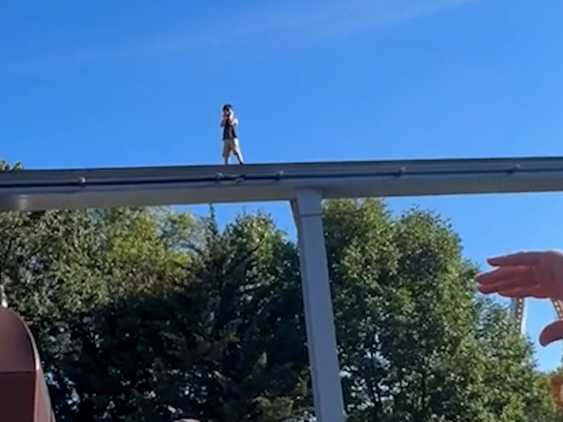 Voor 3 ton aan jonge bomen door de hakselaar op last van gemeente ...