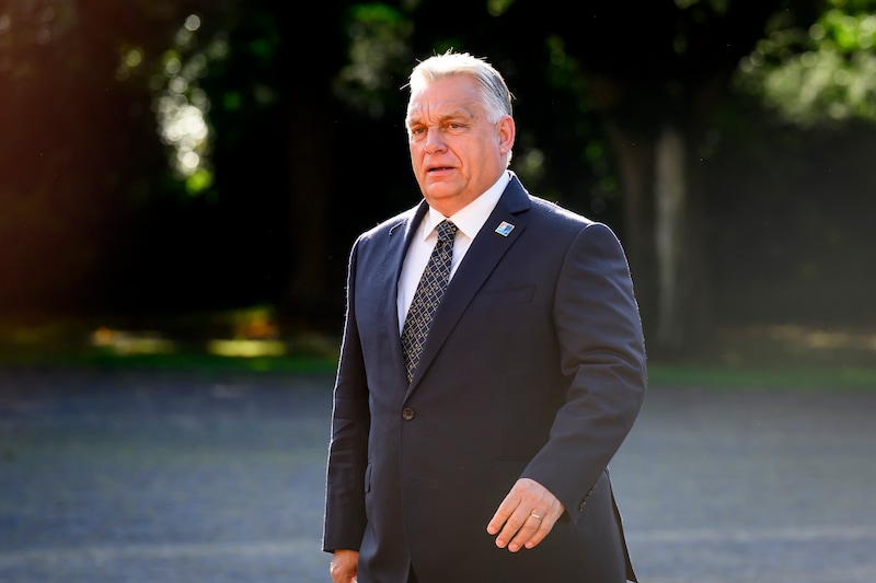 Hoe Viktor Orbán de pion van Poetin in Europa werd: ‘Hij is enkel ...