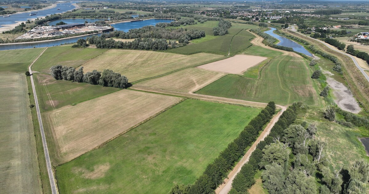 Meer ruimte voor water, natuur en recreanten: zo komt deze uiterwaard ...
