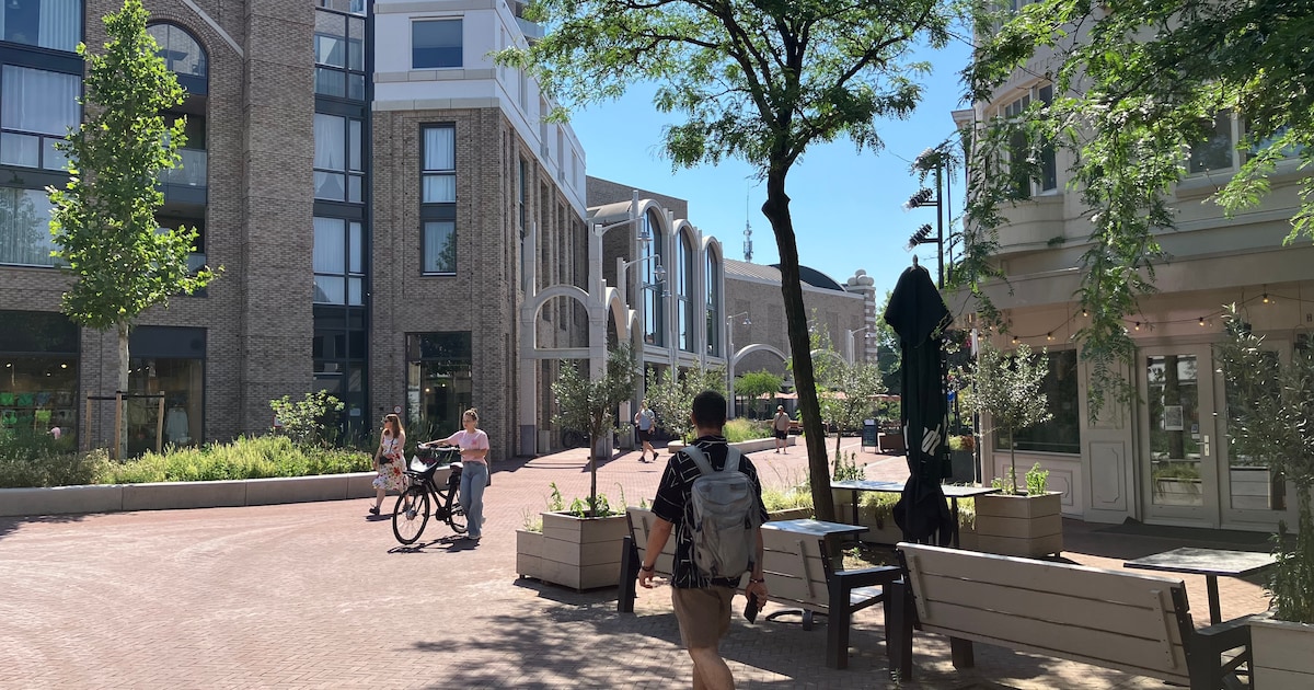Rust in Osse binnenstad door hitte: terras dicht, bibliotheek en ...