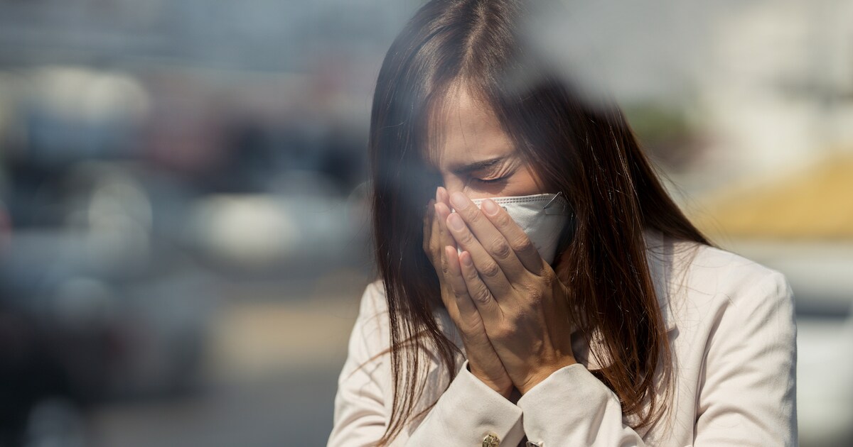 Met deze tips heb je minder last van vervuilde lucht | Nijmegen ...