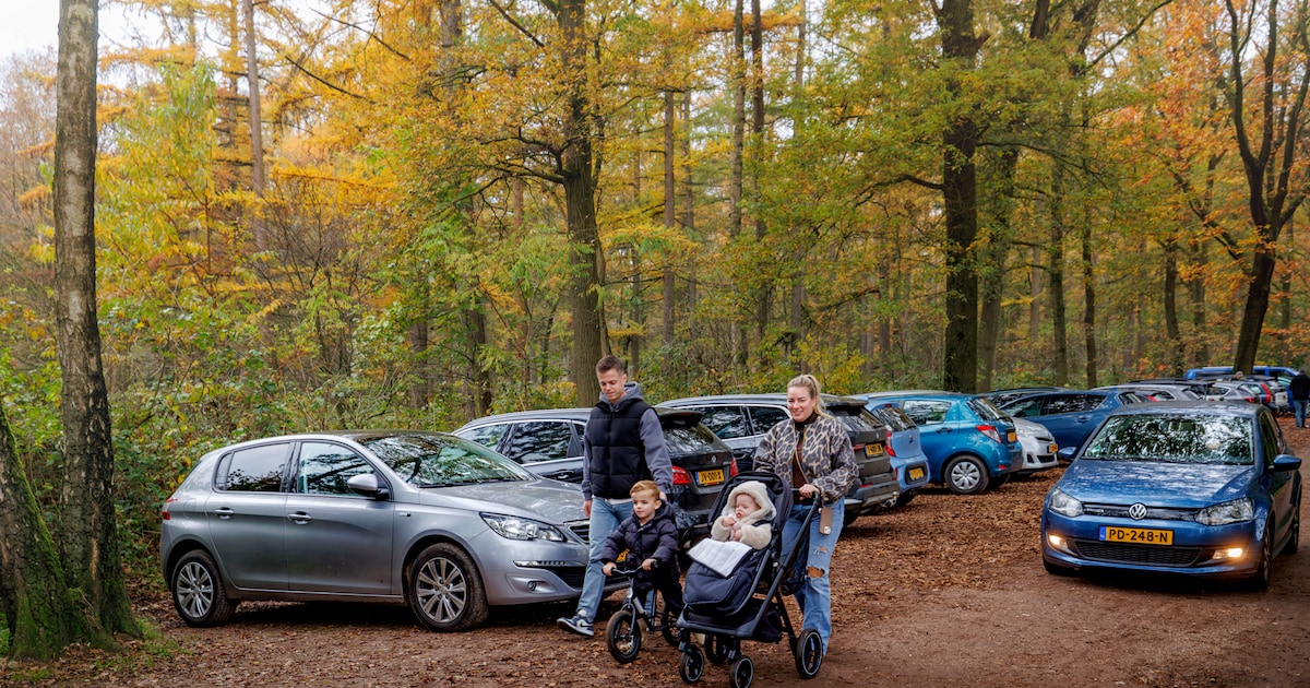 Brabantse natuur moet geen ‘Tesla-reservaat voor de elite’ worden ...