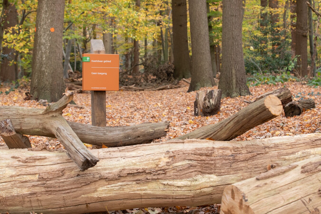 Een deel van het Baarnse Bos sterft af en dat is goed nieuws vindt ...