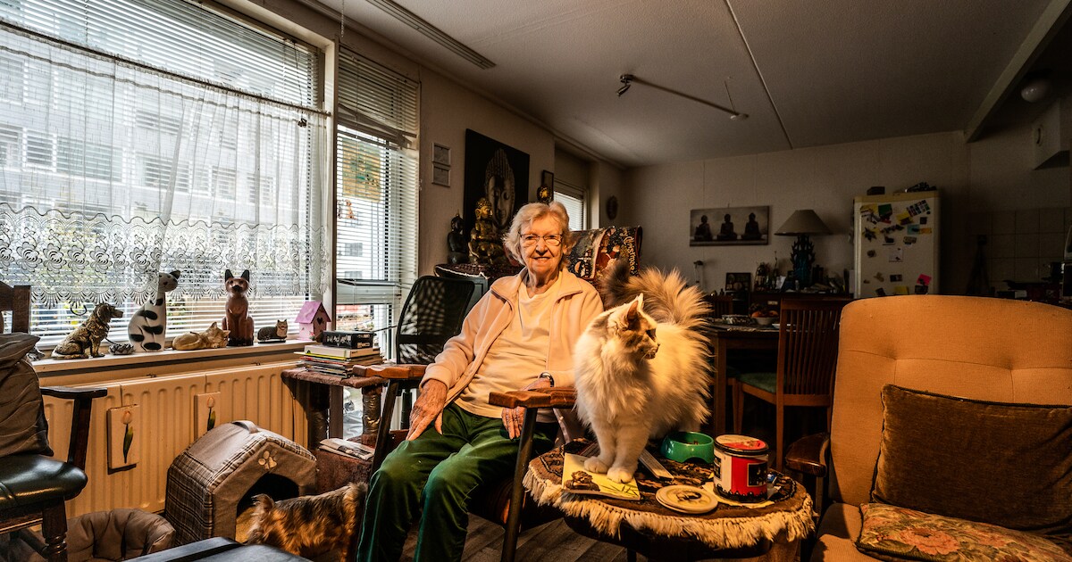 Wie gaat er voor de katten van Mien (88) zorgen als ze er niet meer is ...