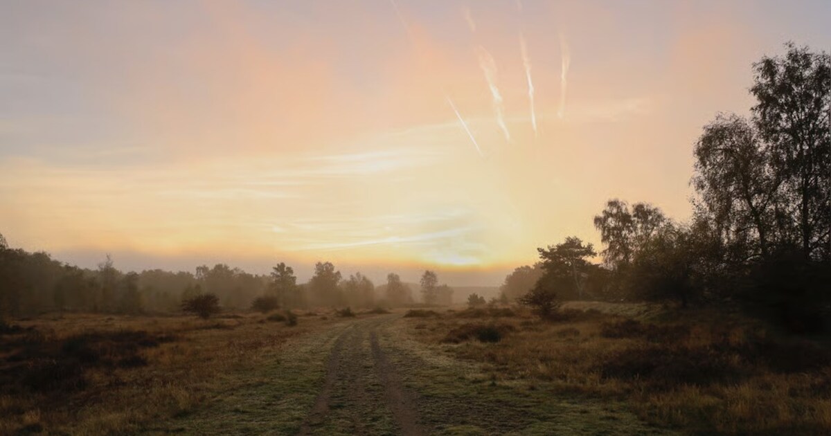 Begeleide wandeling in Venlo naar De Grote Hei | Venlo | De Gelderlander.nl