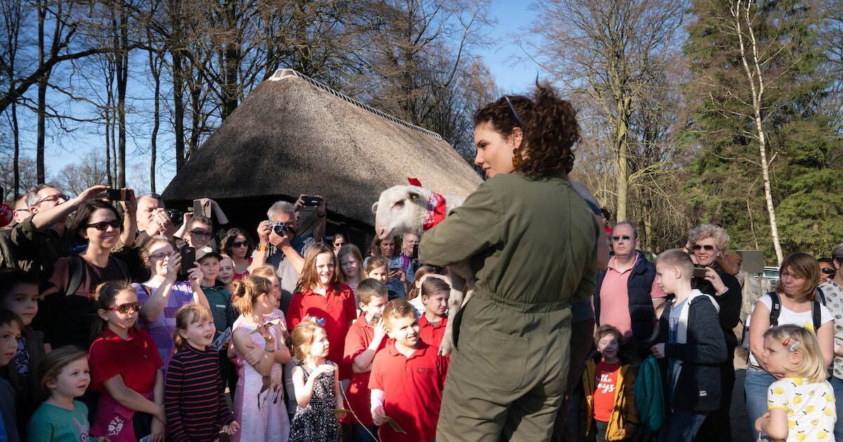 Rachel Rosier noemt eerste lammetje Rhedense schaapskudde Jacoba ...