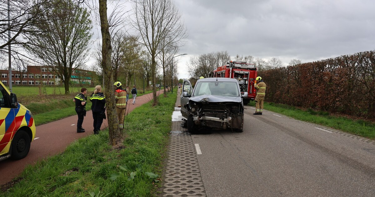 Twee gewonden bij ongeluk in Stevensbeek: automobilist rijdt boom uit ...
