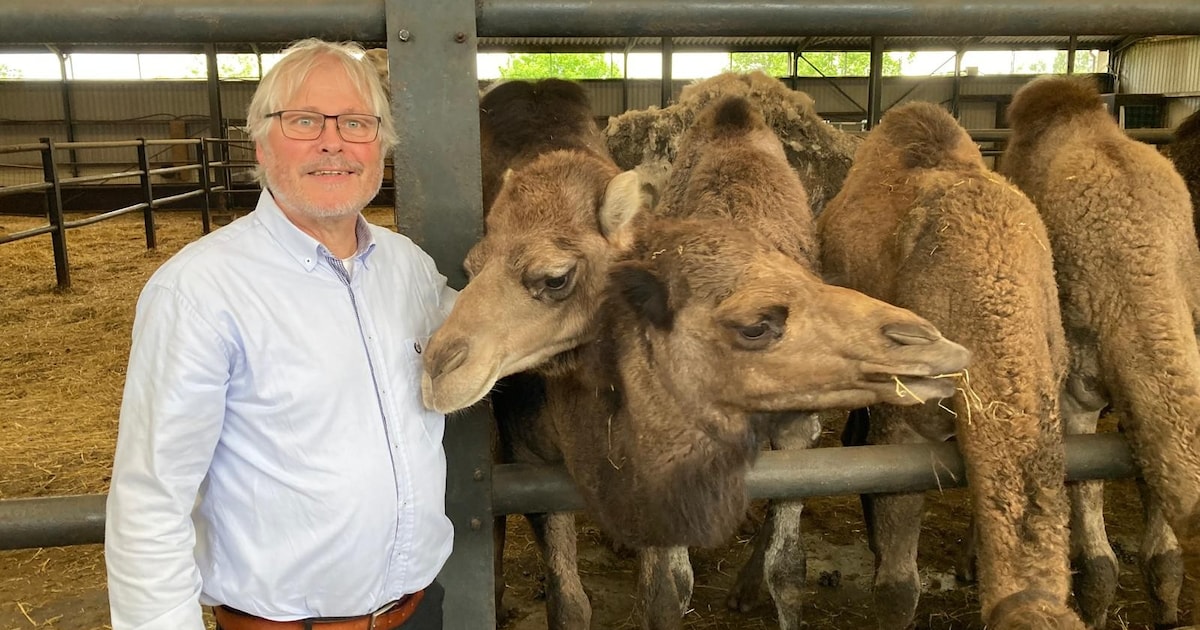 Dierenarts Peter Klaver over zijn bijzondere werk waarin geen dier hem ...